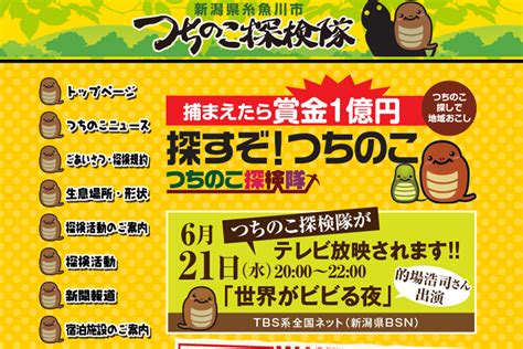 公募情報つちのこ捕まえたら賞金1億円 発見情報を募集中 コンテスト 公募 コンペ の 登竜門