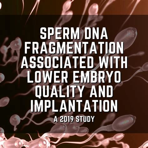 Sperm Dna Fragmentation Associated With Lower Embryo Quality And