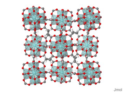 Mof 801 Mof Anatomy