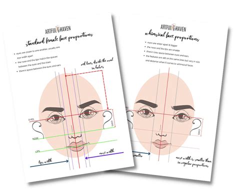 9 Steps To Mastering Female Face Proportions Easy Tutorial For