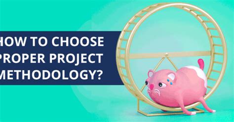 How To Choose Correct Project Methodology QATestLab Blog