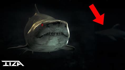 5 Biggest Sea Monsters Ever Caught Real Youtube