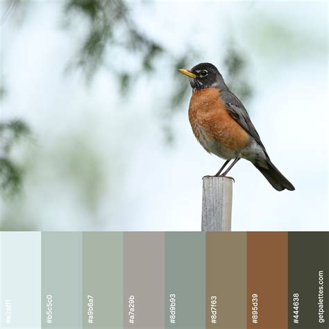 Css Color Chart Hex Rgb Swatches Css Color Names Color Names Chart
