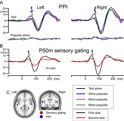 Grand Averaged Source Strength Waveforms Grand Averaged Waveforms Of Download Scientific