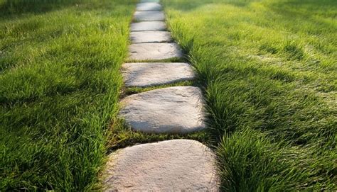Path Through Grass Images Free Download On Freepik Path Through Grass Images Free Download On Freepik