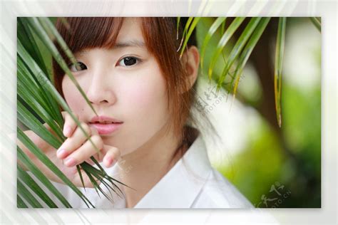 清纯美女图片素材 编号 图行天下