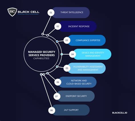 Discover The Capabilities Of Managed Security Service Providers Black