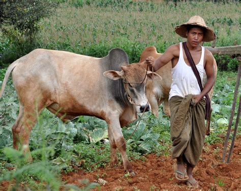33 Kalaw Pueblos Y Gente Quieres Viajar
