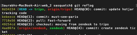 Undo Git Pull Of Wrong Branch Onto Master Stack Overflow