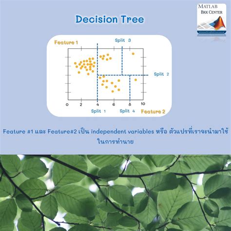 Decision Tree คืออะไร Matlab Code Matlab Bkk Center
