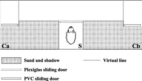 Schematic Representation Of The T Maze Apparatus Used For The Spatial Download Scientific