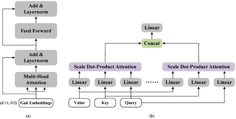 A Novel Spatialtemporal Network For Gait Recognition Using Millimeter