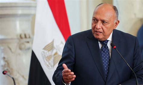 وزير الخارجية المصري عودة النظام السوري للجامعة ليست كافية للتطبيع