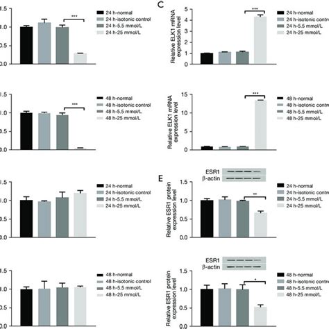 Esr1 Identified By Bioinformatics A Five Potential Transcription