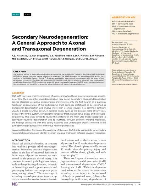 Pdf Secondary Neurodegeneration A General Approach To Axonal And