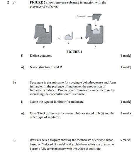 2 A Figure 2 Shows Enzyme Substrate Studyx