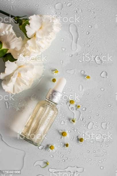 꽃과 흰색 배경에 방울 피부 관리를위한 파이펫과 세럼의 유리 투명 병 건강과 뷰티 컨셉 복사 공간 0명에 대한 스톡 사진 및