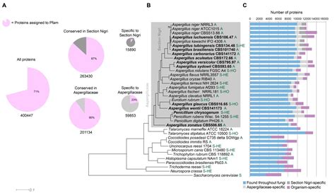 Comparative Genomics Reveals High Biological Diversity And Specific Adaptations In The