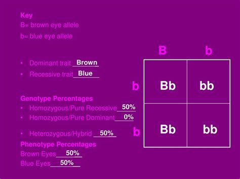 Heredity Ppt Download