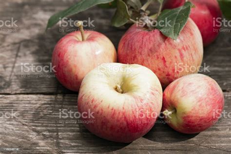 여름 정원에서 소박한 나무 테이블에 빨간 유기농 신선한 사과 과일 유기농 비건 건강 식품을 닫습니다 여름 색상입니다 바이오 식품