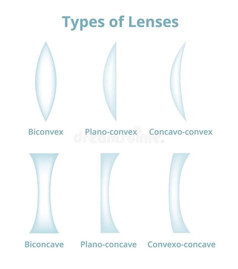 Conjunto Vectorial De Tipos De Lentes Lentes Convexos Y Concave