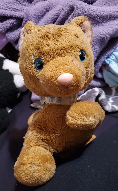 The Origins Of This Cat Plush R Helpmefind