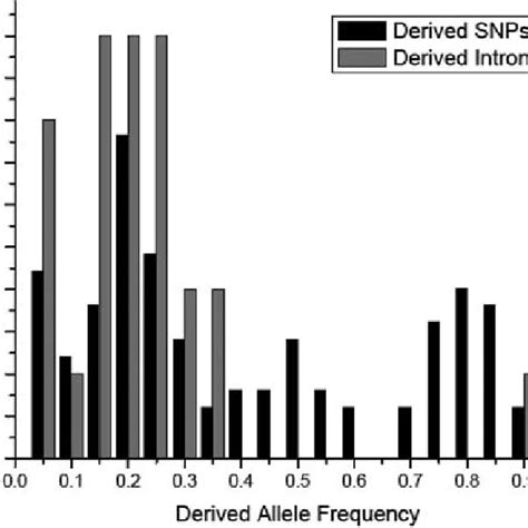 Allele Frequency Spectra Of Derived Snps And Introns In D Pulex