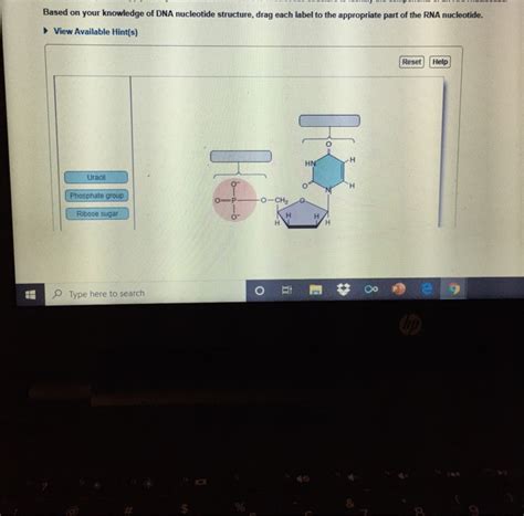 solved based on your knowledge of dna nucleotide structure