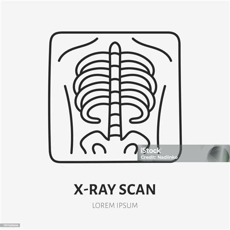 Xray 스캔 낙서 라인 아이콘입니다 가슴 Ct의 벡터 얇은 윤곽선 그림 방사선학 진단을 위한 까만 색깔 선형 부호 아이콘에