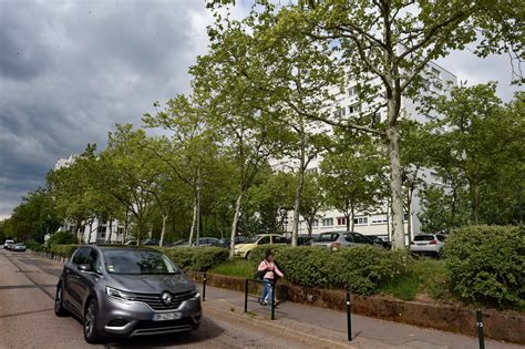 Laxou Faits Divers Disparition Inquiétante Depuis Nancy Le Couple