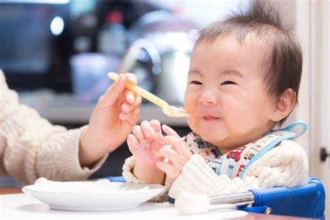 Panduan MPASI Bayi Bulan Nutrisi Penting Yang Harus Terpenuhi