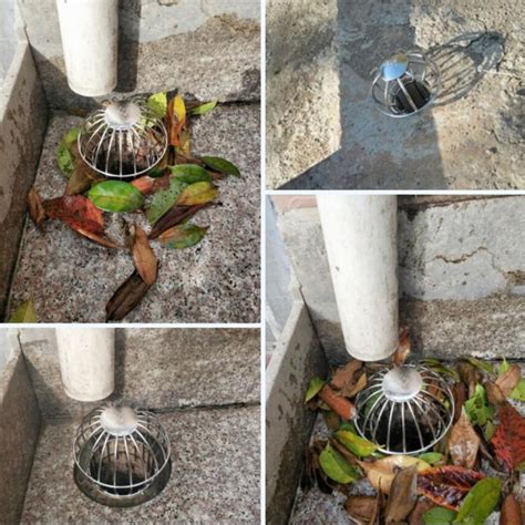 Downspout Leaf Strainer At Koby Rawling Blog