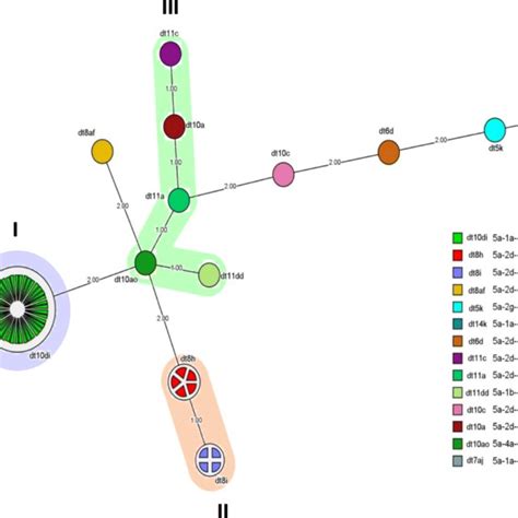 Minimum Spanning Tree Generated Using The Bionumerics Software