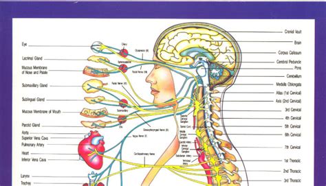 Digital Transformation And The Autonomic Enterprise