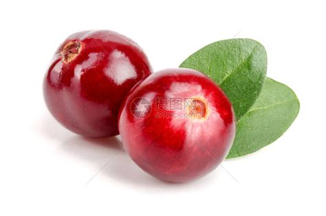 Cranberry与叶子隔离在白色高清图片下载 正版图片503294302 摄图网