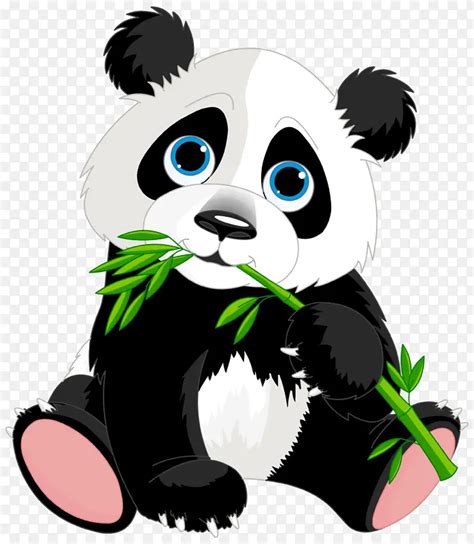 一只吃竹子的大熊猫PNG图片素材下载 图片编号11159819 PNG素材网