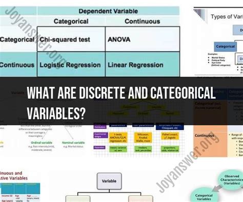 Differentiating Between Discrete And Categorical Variables