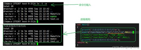 冰冰学习笔记：进程程序替换 csdn博客