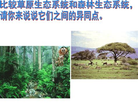 第二章 《生物与环境》复习 21世纪教育网