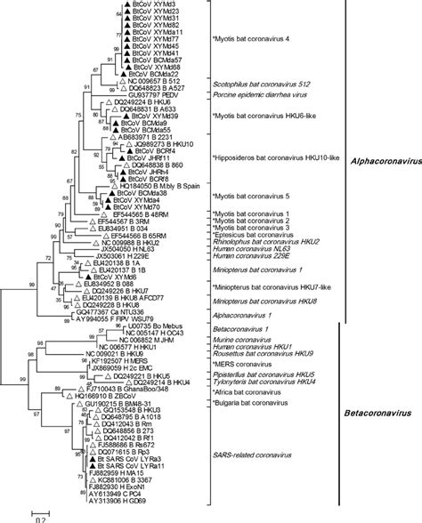 Phylogenetic Analysis Of RdRp Amplicons Obtained In This Study And