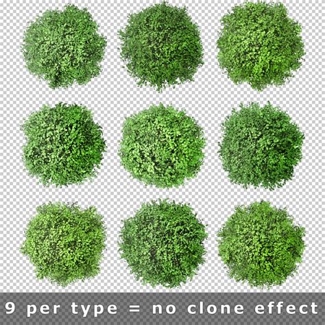 Related Image Tree Plan Photoshop Tree Photoshop Tree Plan
