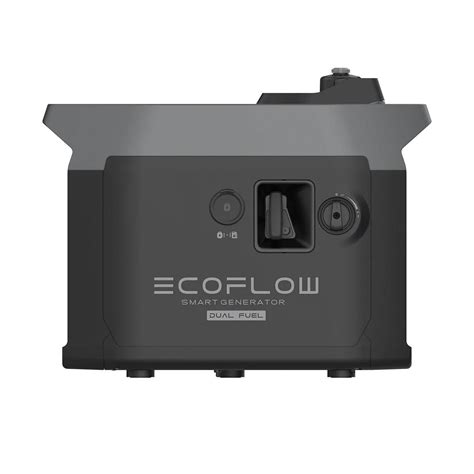 Ecoflow New Smart Generator Dual Fuel Uk Version Free Delivery