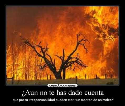 ¿aun No Te Has Dado Cuenta Desmotivaciones
