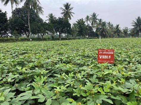 Season And Varieties An Introduction
