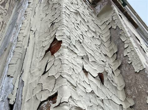 Lead Based Paint Inspection Lead Testing Alpine Building Performance