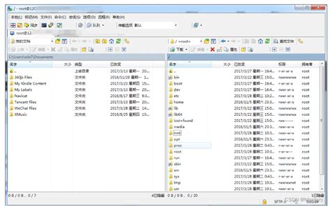 Use Winscp To Transfer Files Between Local And Servers Programmer Sought