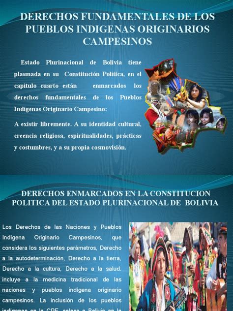 Derechos Fundamentales De Los Pueblos Indigenas Originarios Campesinos