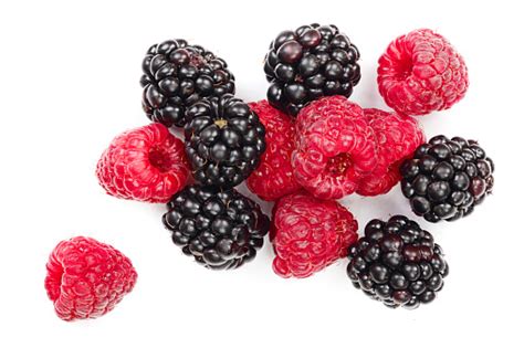 블랙베리와 딸기 흰색 배경에 고립입니다 최고의 볼 수 있습니다 평면 위치 패턴 0명에 대한 스톡 사진 및 기타 이미지 0명 검은색 과일 Istock