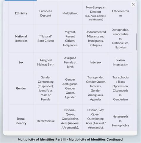 Unit 2 Oppression Privilege And Intersectionality Of Identities