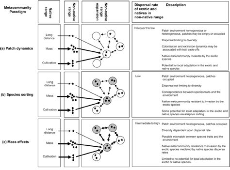 Exotic Introduction To The Non Native Range And Metacommunity As